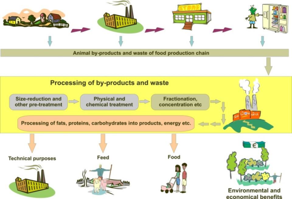 What is Animal By-Product Rendering: A Sustainable Solution