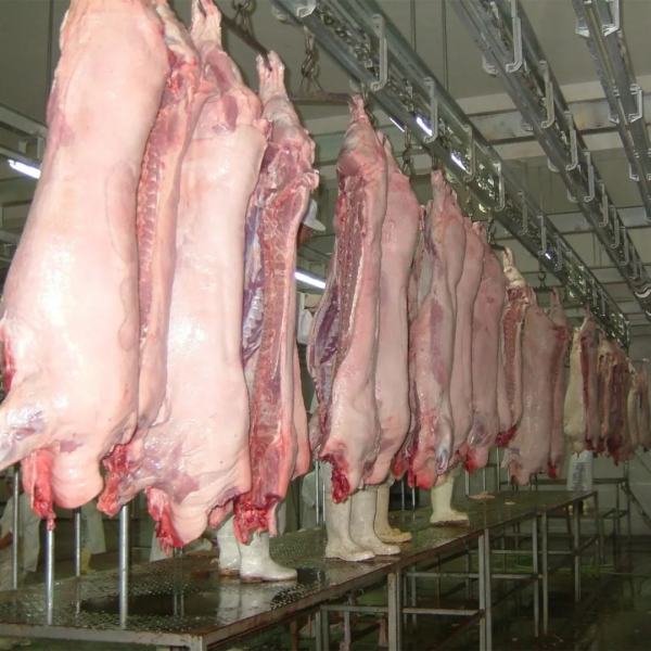 Rendering plant of meat and bone meal production equipment: